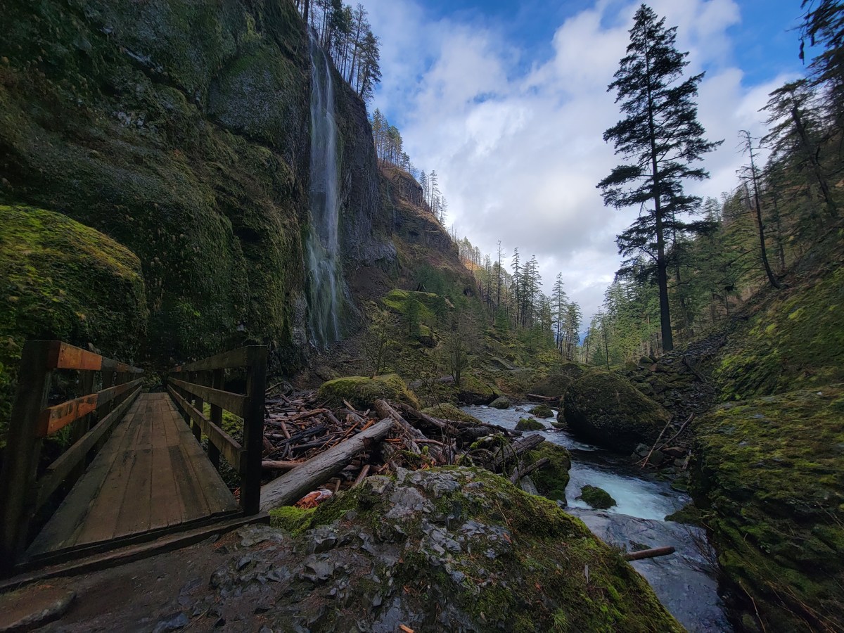 Portland’s Perfect Paths – Em Nouveau